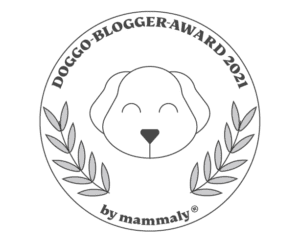 Meine Handvoll Hufeisen - Jungpferdeausbildung - Das Fohlen ABC – Meine ...