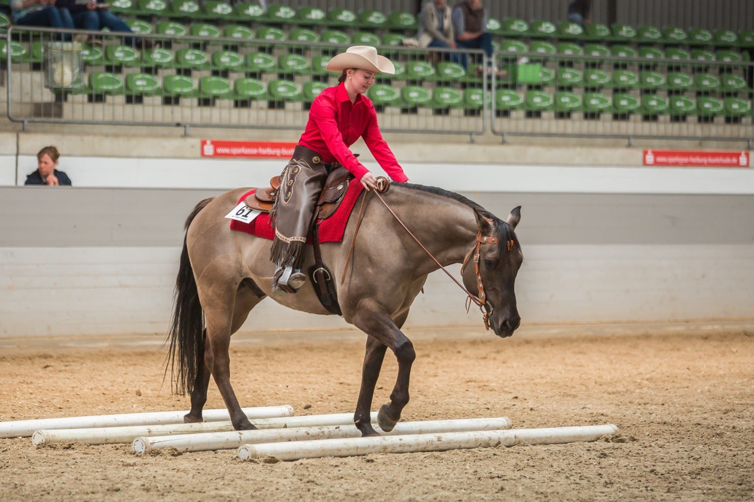 Meine Handvoll Hufeisen - Die Disziplinen im Westernreiten - Was ist ...