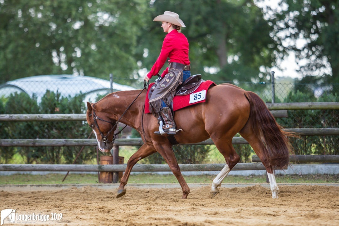 Meine Handvoll Hufeisen - Die Disziplinen im Westernreiten - Was ist ...