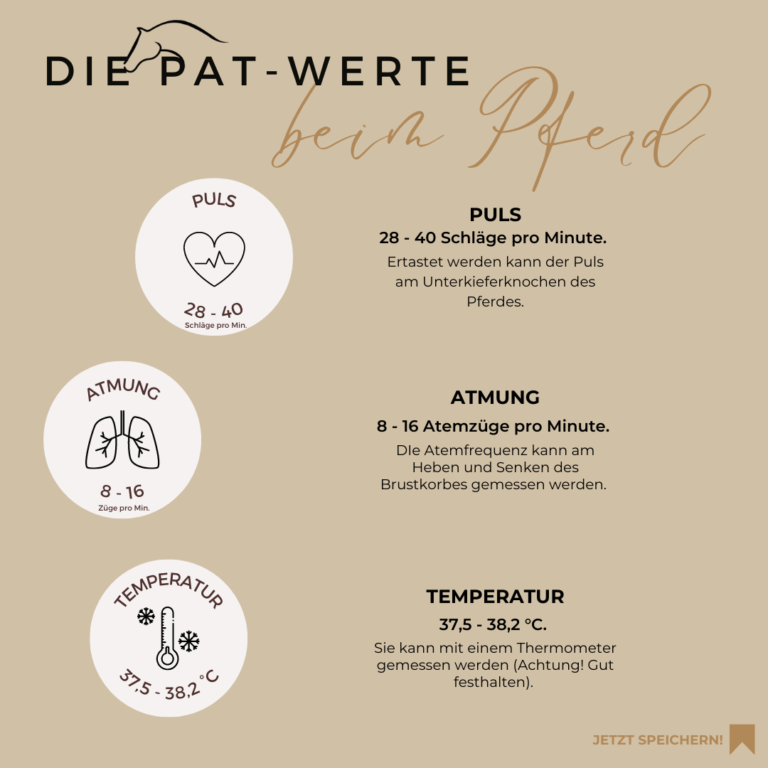 Meine Handvoll Hufeisen - Was sind die PAT-Werte beim Pferd? – Meine Handvoll Hufeisen