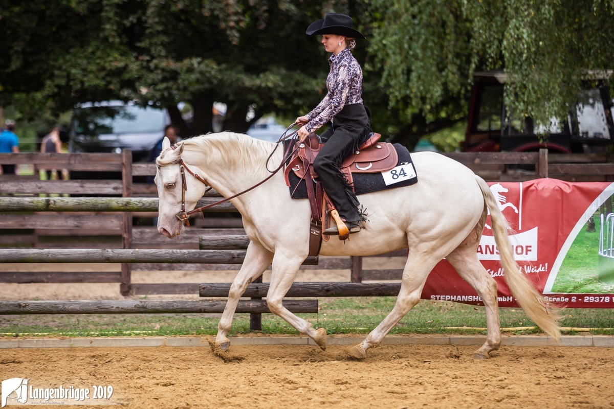 Meine Handvoll Hufeisen - Die Western Horsemanship - Disziplinen im ...