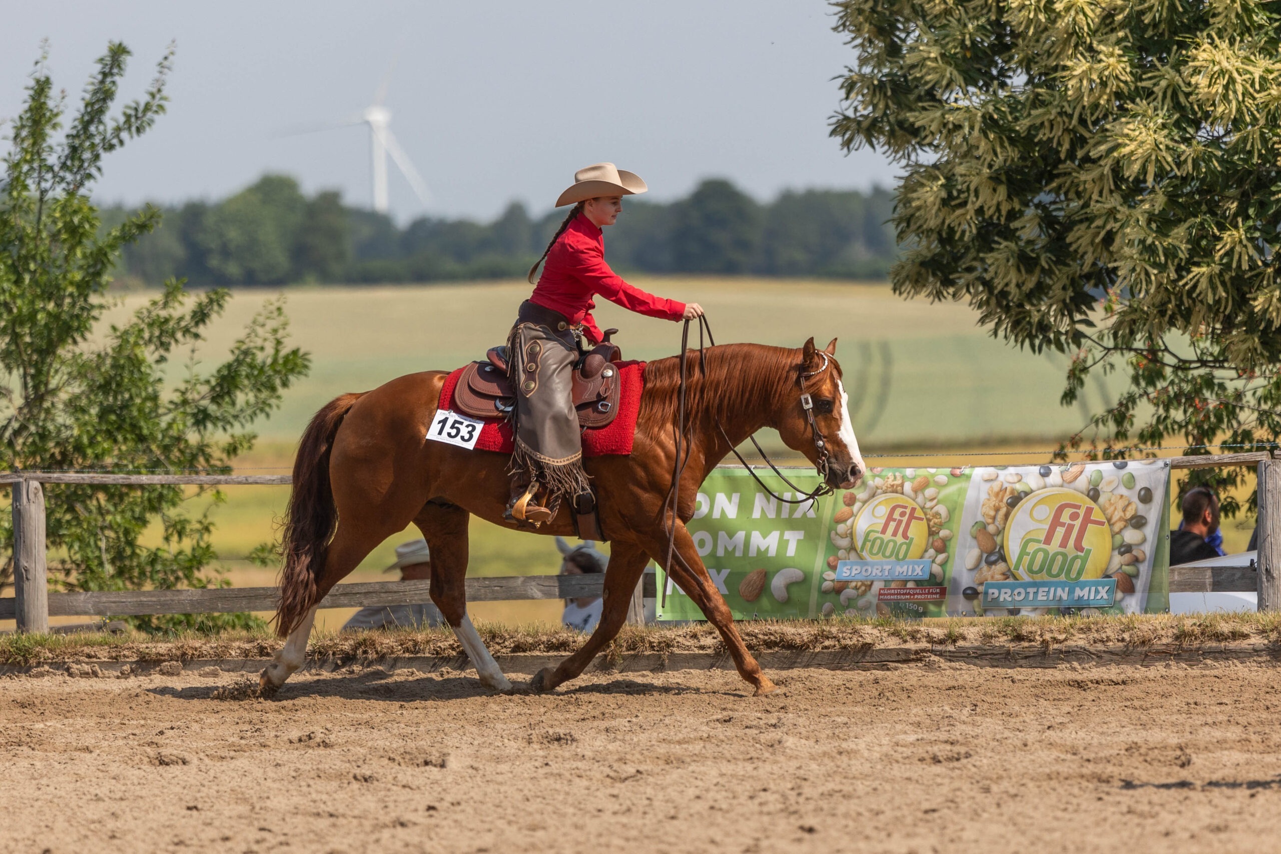 Meine Handvoll Hufeisen - Die Western Ranch Rail - Disziplinen im ...