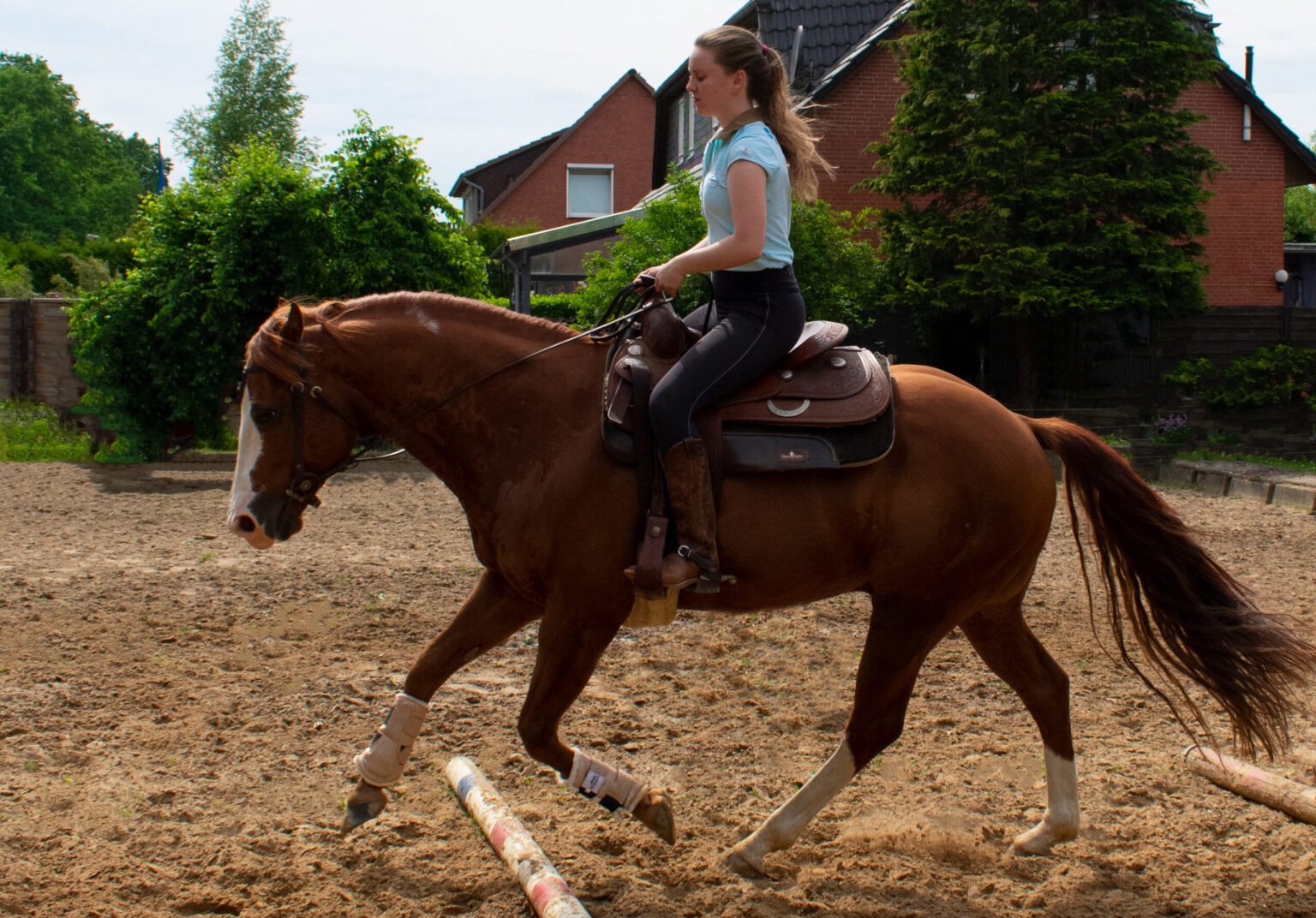 Meine Handvoll Hufeisen - Stangenarbeit: Richtige Abstände - Schritt ...