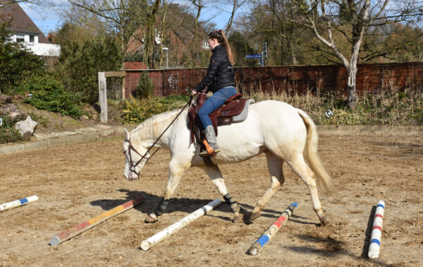 Meine Handvoll Hufeisen - Stangenarbeit: Richtige Abstände - Schritt ...